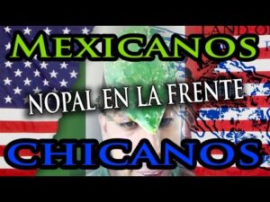 Descubre el significado de Pochi en México y su relevancia cultural ...